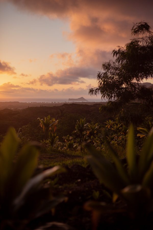 Historical Timeline – Independent & Sovereign Nation State of Hawaii