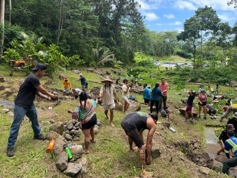 Official Website for The Nation of Hawai’i » Independent & Sovereign ...